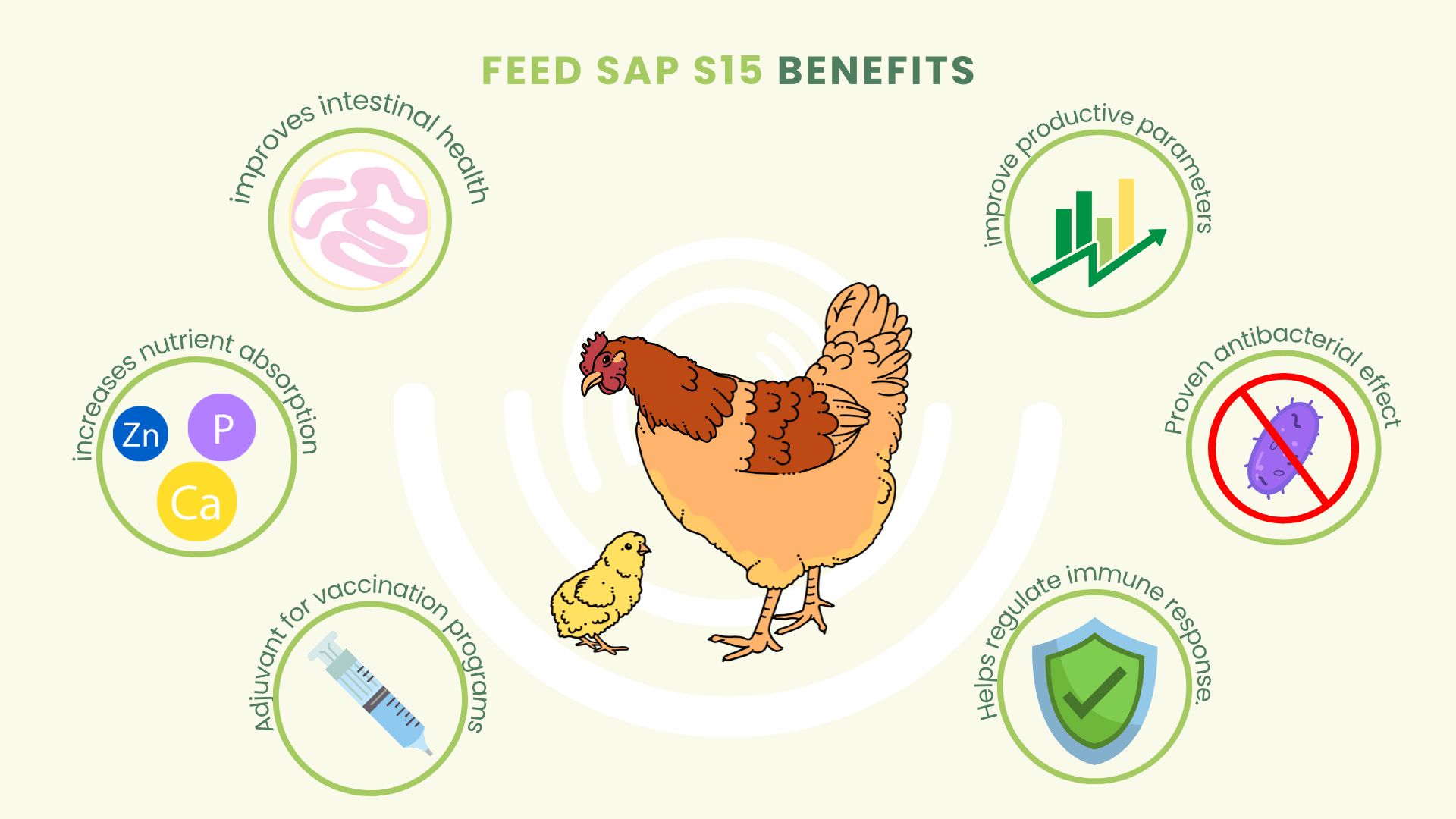 Feed Sap S15 | Poultry Coccidiosis - Plantae Labs