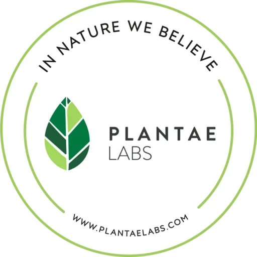 Sustainable Quillaja Extract Solutions - Plantae Labs